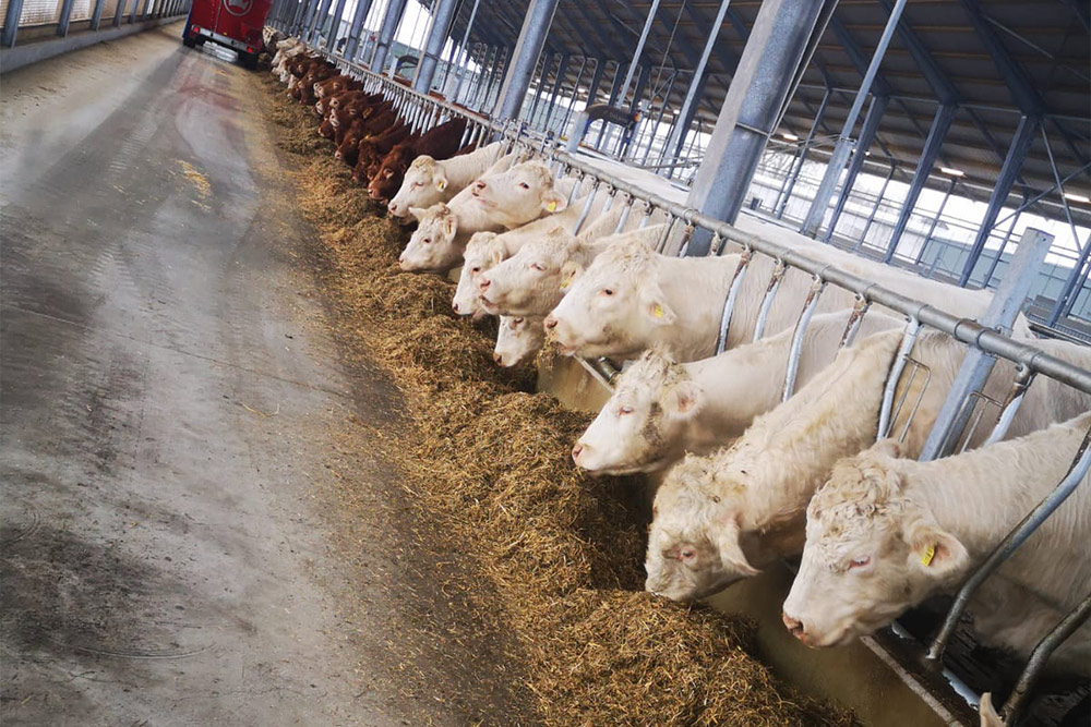 Shadow day at Kolumbi also this year – News – Kolumbi.lv